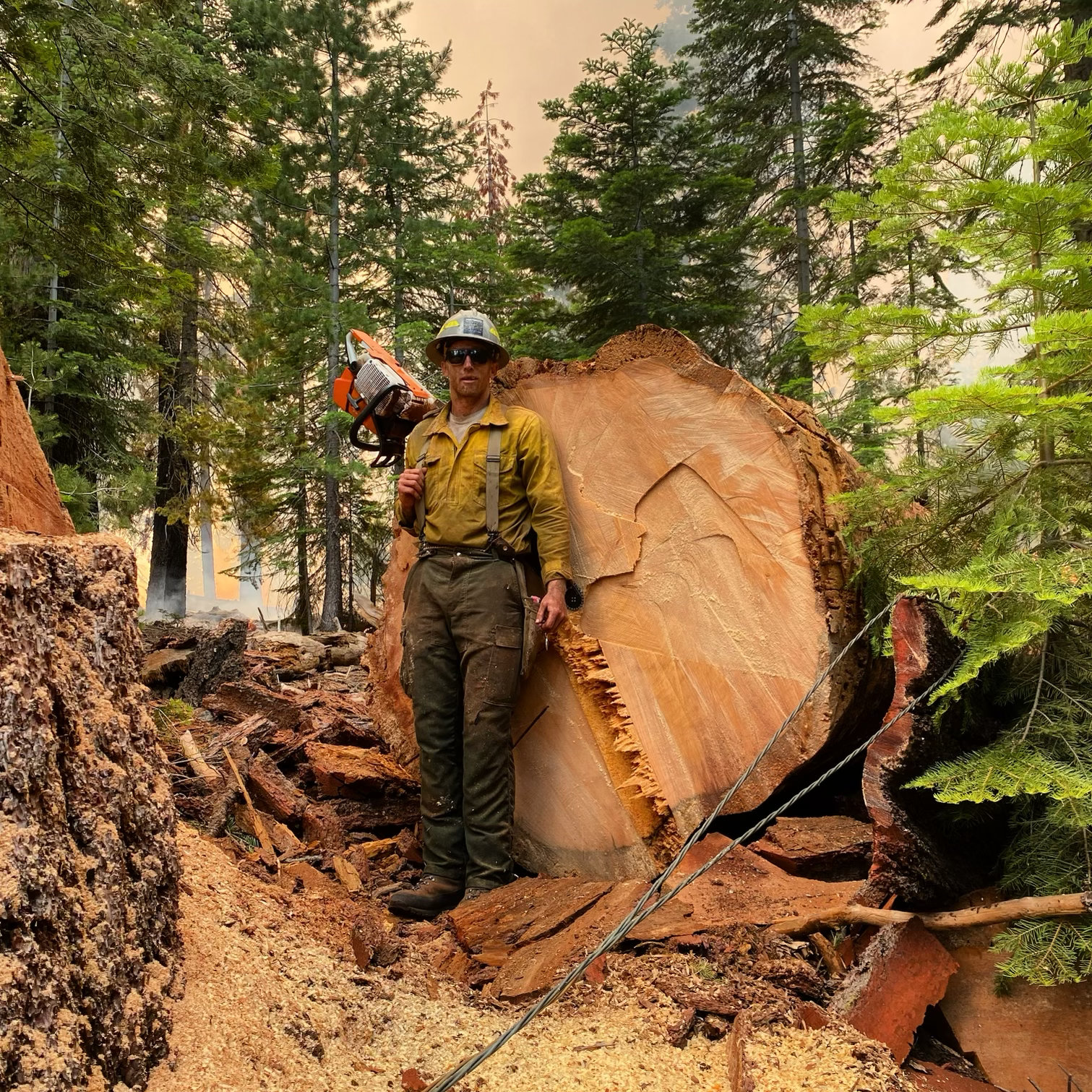 About - Siskiyou-Shasta Tree Pro LLC